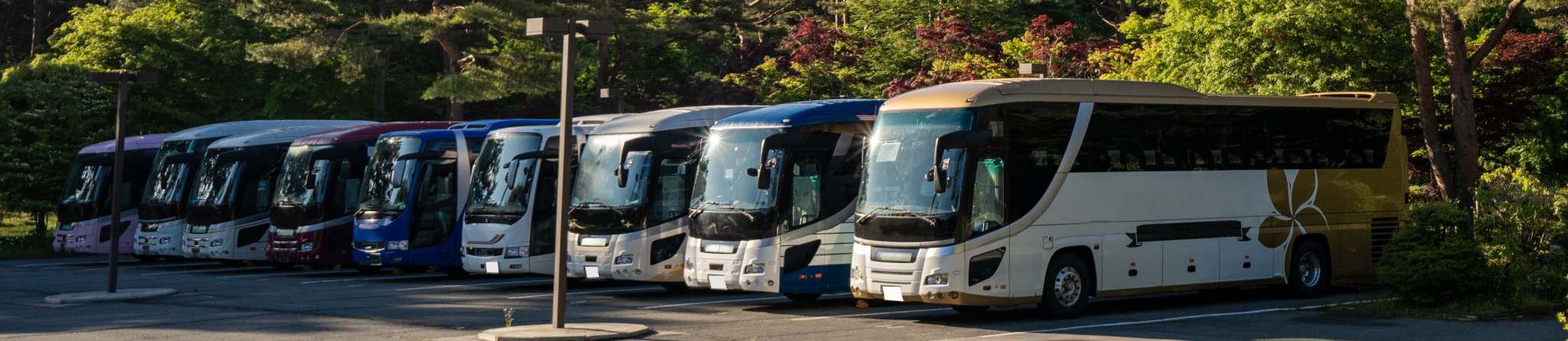 APEEE – EEB2 – Woluwe & Evere – APEEE – EEB2