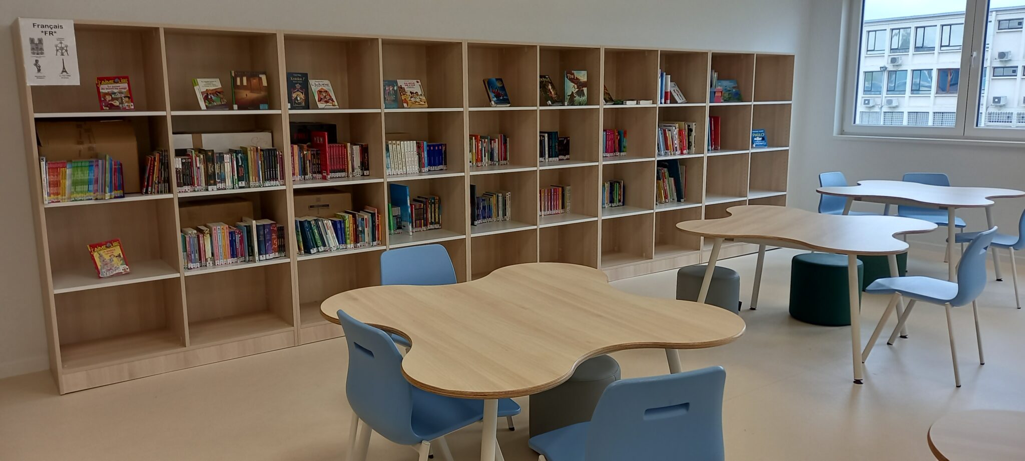 All You Evere Wanted To Know : Présentation de la Bibliothécaire ...